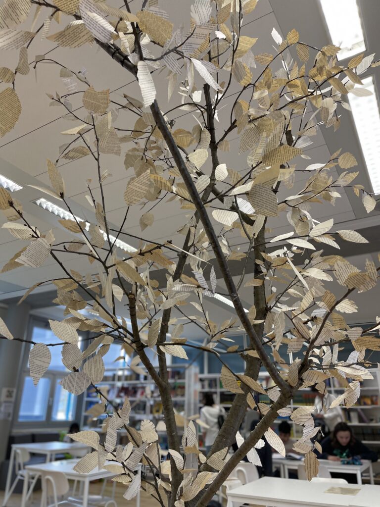 21. March – World Tree Day and International Forest Day – European ...